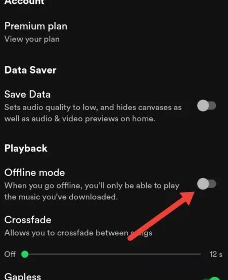 Guide to Spotify Offline Mode Not Working & Plus a Permanent Fix!